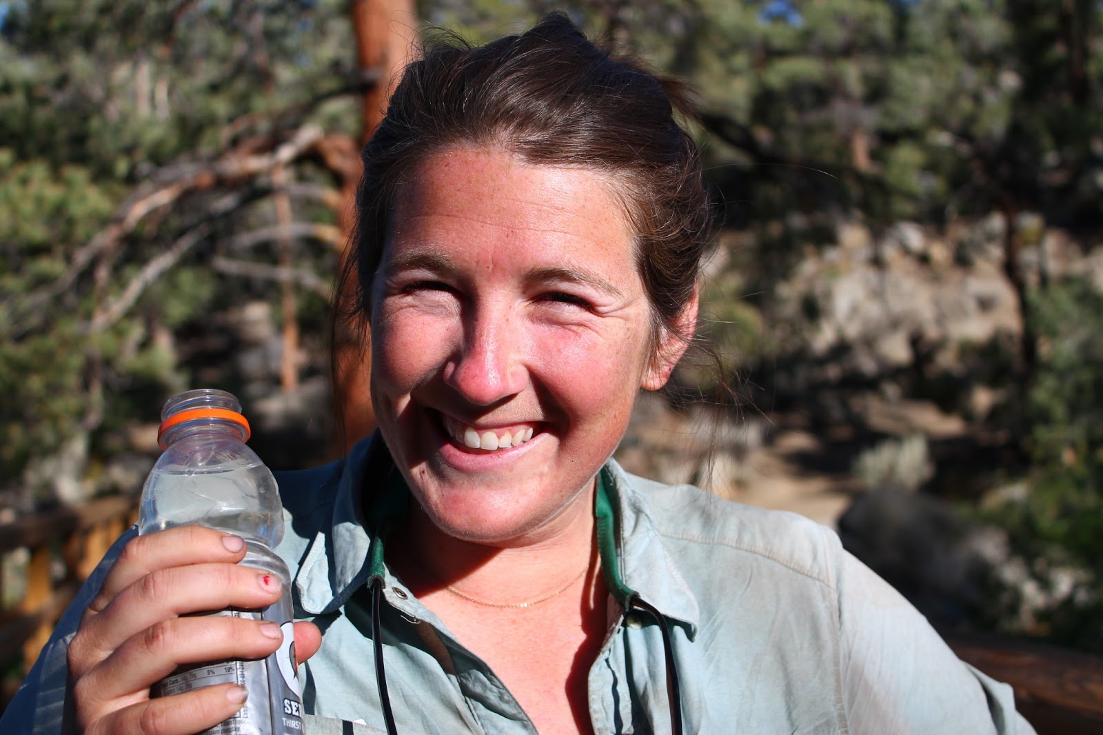 IN THESE WOODS: DAY 52: HIGH SIERRA ENTRY